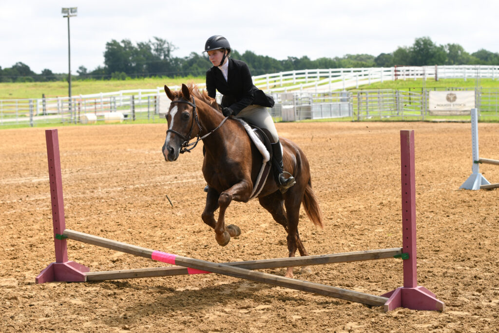 Show Team – JAKS Stables