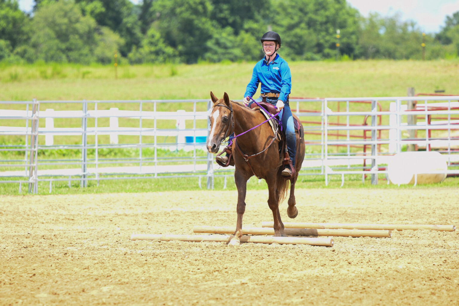 Show Team – JAKS Stables