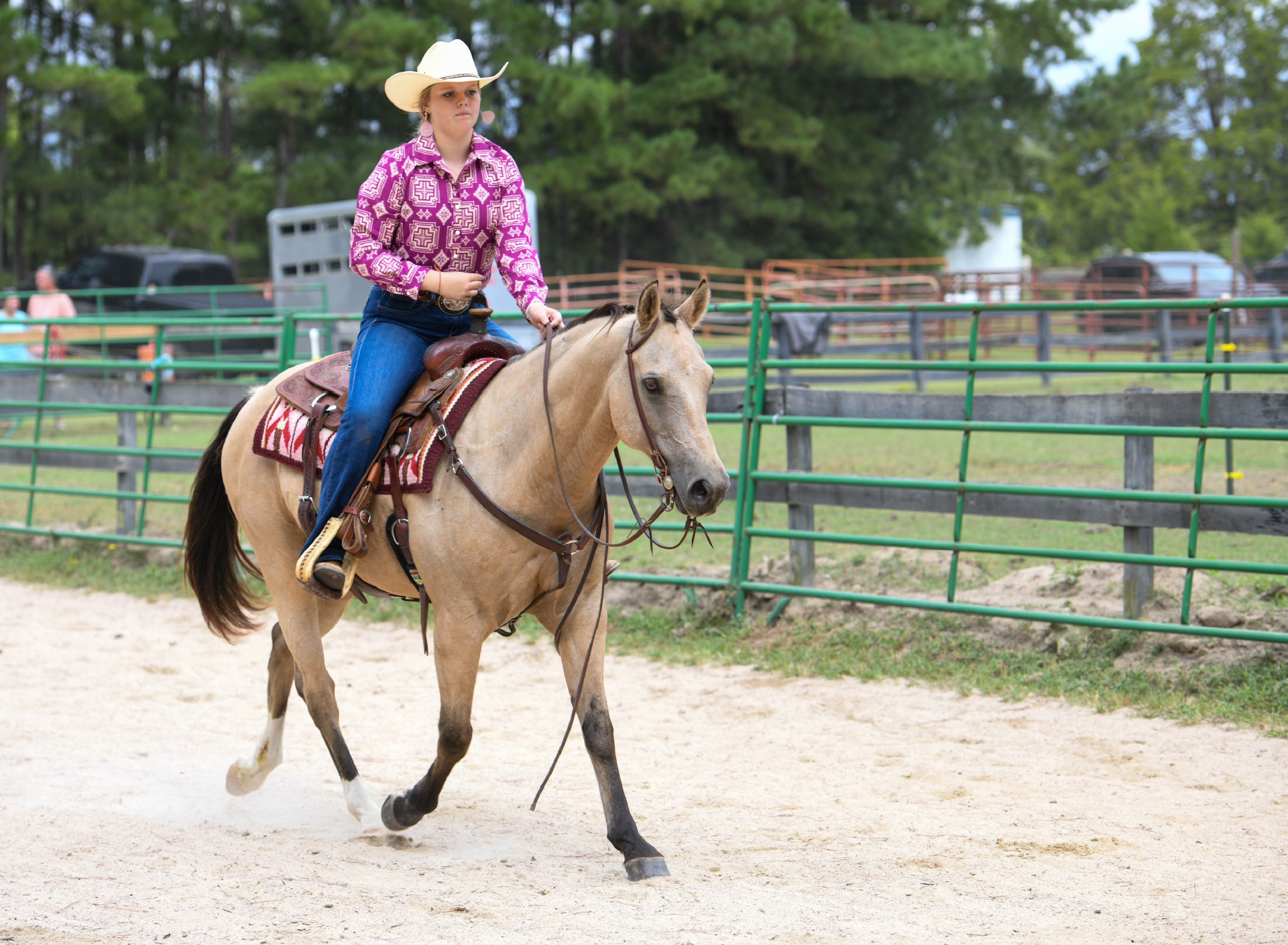 Triangle Ranch Horse – JAKS Stables